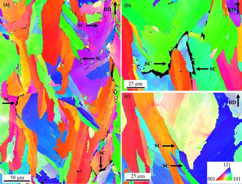 EBSD Orientation Maps Of Sample A3 Taken Along The Build Direction BD Download Scientific