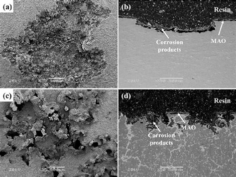 Figure 11 From Role Of Substrates In The Corrosion Behaviors Of Micro