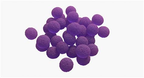 3d Staphylococcus Aureus Bacteria Model Turbosquid 1294243
