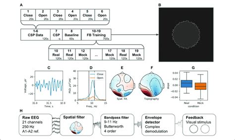 Neurofeedback Training Experiment Example A Experimental Protocol Download Scientific