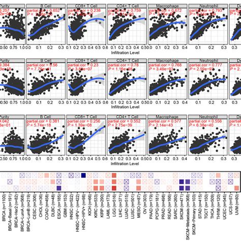 The Related Signaling Pathway Of Runt Related Transcription Factors Download Scientific Diagram