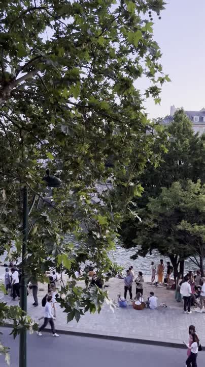 Danielle Dee Libine Posted On Linkedin