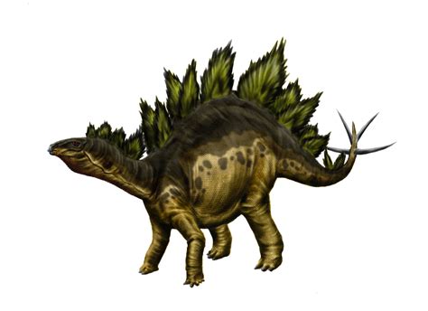 Filestegosaurus Armatus By Durbed Wikimedia Commons