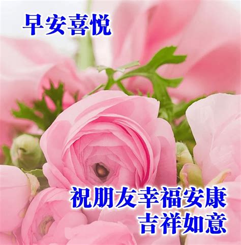 2024最新星期二早上好的问候图片 星期二早上好的问候图片大全 配图网