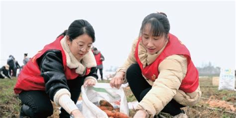 浙江桐庐：党员干部一线助农忙手机新浪网