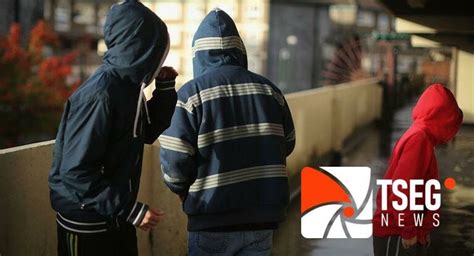 Зохион байгуулалттай 5 бүлгийн 13 этгээдэд эрүүгийн хэрэг үүсгэн яллагдагчаар татаад байна