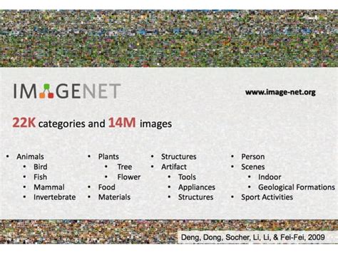 Case Study Of Convolutional Neural Network PDF Artificial Intelligence Technology Computing
