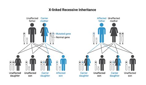 Recessive