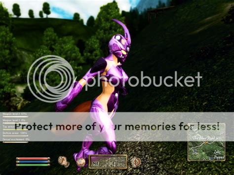 Looking For Sci Fi Modern Clothing Armors And Weapons Oblivion Adult Mods Loverslab