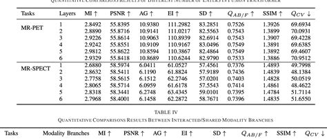 Table Iii From Transformer Based End To End Anatomical And Functional Image Fusion Semantic