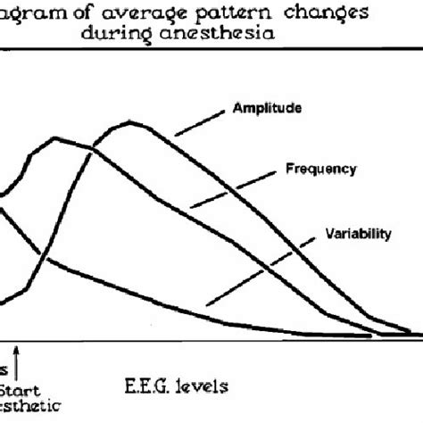 Changes In EEG Amplitude And Waveform With Increasing Levels Of Download Scientific Diagram