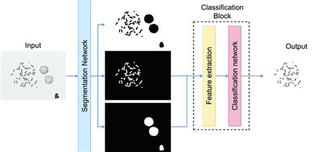 Proposed Denoising Method Comprised Of A Segmentation Network And A Download Scientific Diagram