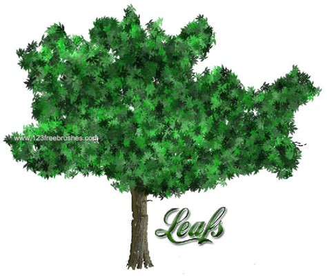 Tree Download Free Brushes Photoshop Freebrushes