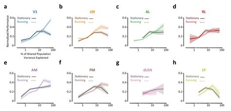 การวิเคราะห์การประมวลผลการมองเห็นภาพพฤติกรรมการวิ่งของหนู By Parkpoom Wisedsri Medium