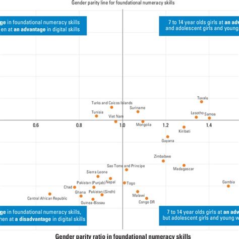 Pdf Bridging The Gender Digital Divide Challenges And An Urgent Call