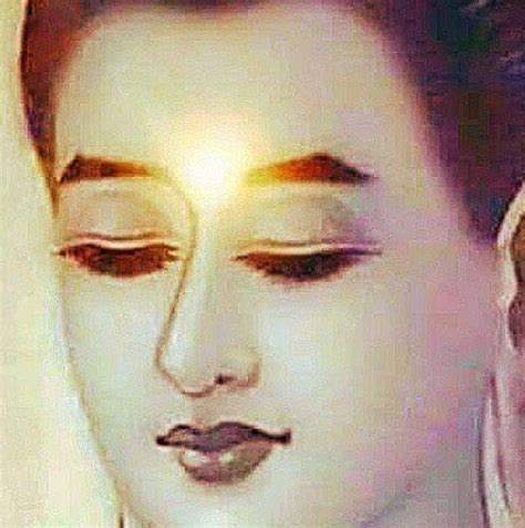 ဗုဒၶတရားဝိမႆနာ