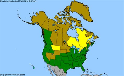 2013 Bonap North American Plant Atlas Taxonmaps