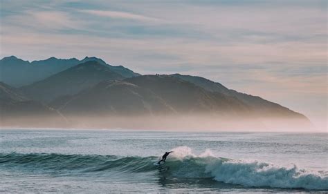 კონტინენტები Archives სად არის