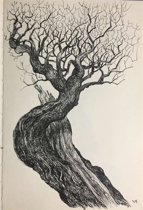 Pin by Olga Magera on растения Fine art drawing Art inspiration Tree tattoo