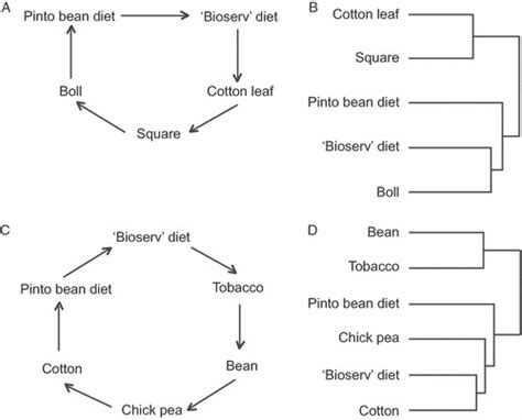 microarray design and hierarchical clustering of experimental