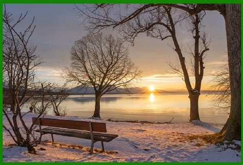 Barcode Technology Library Pdf417 Barcodes In Financial And Payment