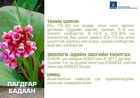 📌Монгол Байгаль орчин уур амьсгалын өөрчлөлтийн яам Facebook