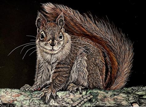 Bright Eyed Bushy Tailed Mixed Media By Sonja Jones Fine Art America