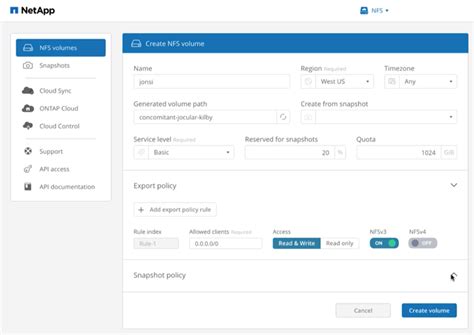 Netapp Announces New Nfs Hybrid Service On Aws