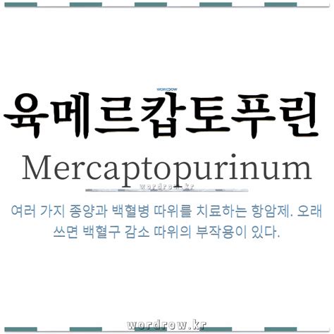🌟육메르캅토푸린 여러 가지 종양과 백혈병 따위를 치료하는 항암제 오래 쓰면 백혈구 감소 따위의 부작용이 표준국어대사전