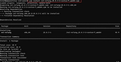 How To Install Erlang On Amazon Linux 2 Aws Ec2 Linuxshout
