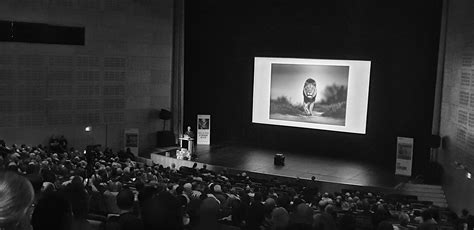 About The Artist Read His Story Here Chris Fallows