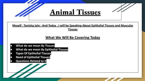 Animal Tissues Class 9 Cbse By Tanishq Jain Pdf