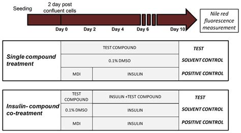 Overview Of The Experimental Setup Of One Compound And Insulin Compound