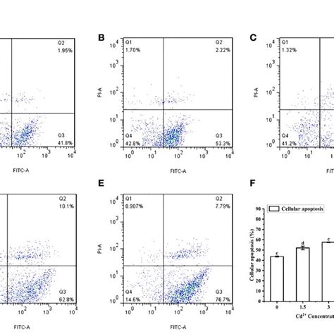 Detection Of Apoptosis In M Meretrix Ovarian Cells By Flow Cytometry Download Scientific