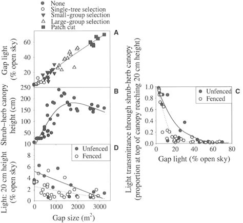 Effect Of Overstory Canopy Gap Size On A Light Reaching The Top Of