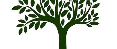 Binary Search Tree In Ruby Dev Community