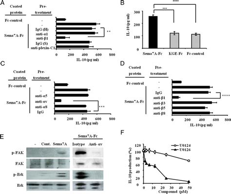 Sema7a Increases Il 10 From Lp Mws Through Avb1 Integrin Signaling