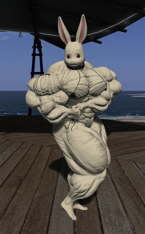 Haru Bunny Posing 3 By Chrisran On Deviantart