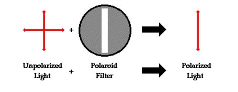 Optics What Orientation Of Light Do Polarizing Filters Actually Let