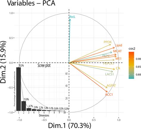 Principal Component Analysis Pca Variables And Scree Plot Download Scientific Diagram