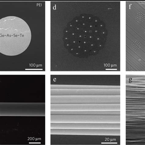 1 Sem Image Of The Amorphous Selenium Nanowire Array Download 1 Sem Image Of The Amorphous Selenium Nanowire Array Download