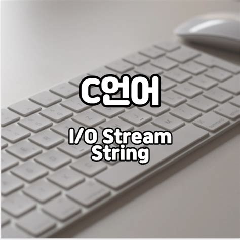 C 언어 11 Inputoutput Stream String