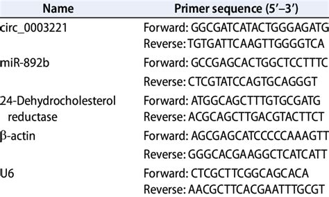 Primer Sequences Used For Reverse Transcription Quantitative Polymerase Download Scientific