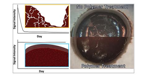 The Effect Of The Physical Morphology Of Dried Biofluids On The