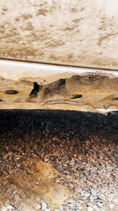 Покупайте у нас😂 Youtube