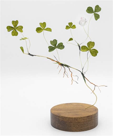 Lauren Pruen Archives — Colossal