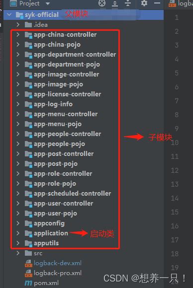 Springboot项目打包后代码没有生效的问题线下项目打包上线之后新增的功能没有生效是怎么回事 Csdn博客