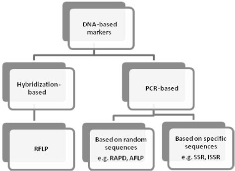 Types Of Dna Based Markers Download Scientific Diagram