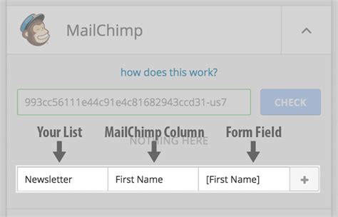 FormCraft How To Configure MailChimp Add On