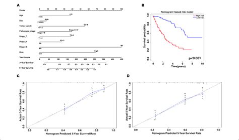 Construction And Validation Of Nomogram Model Combining The